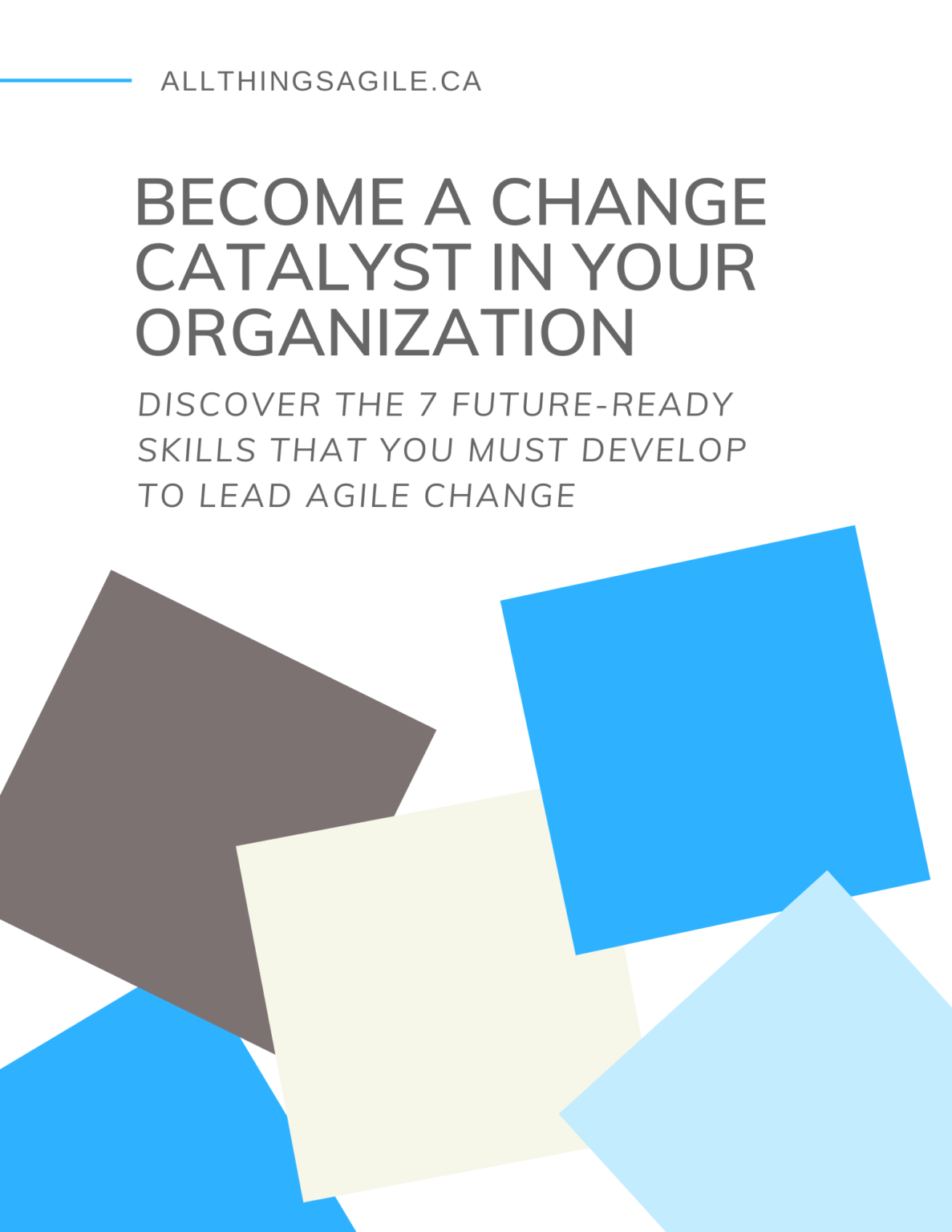 Maximizing Team Potential: The Power of one-on-one Coaching for Agile ...
