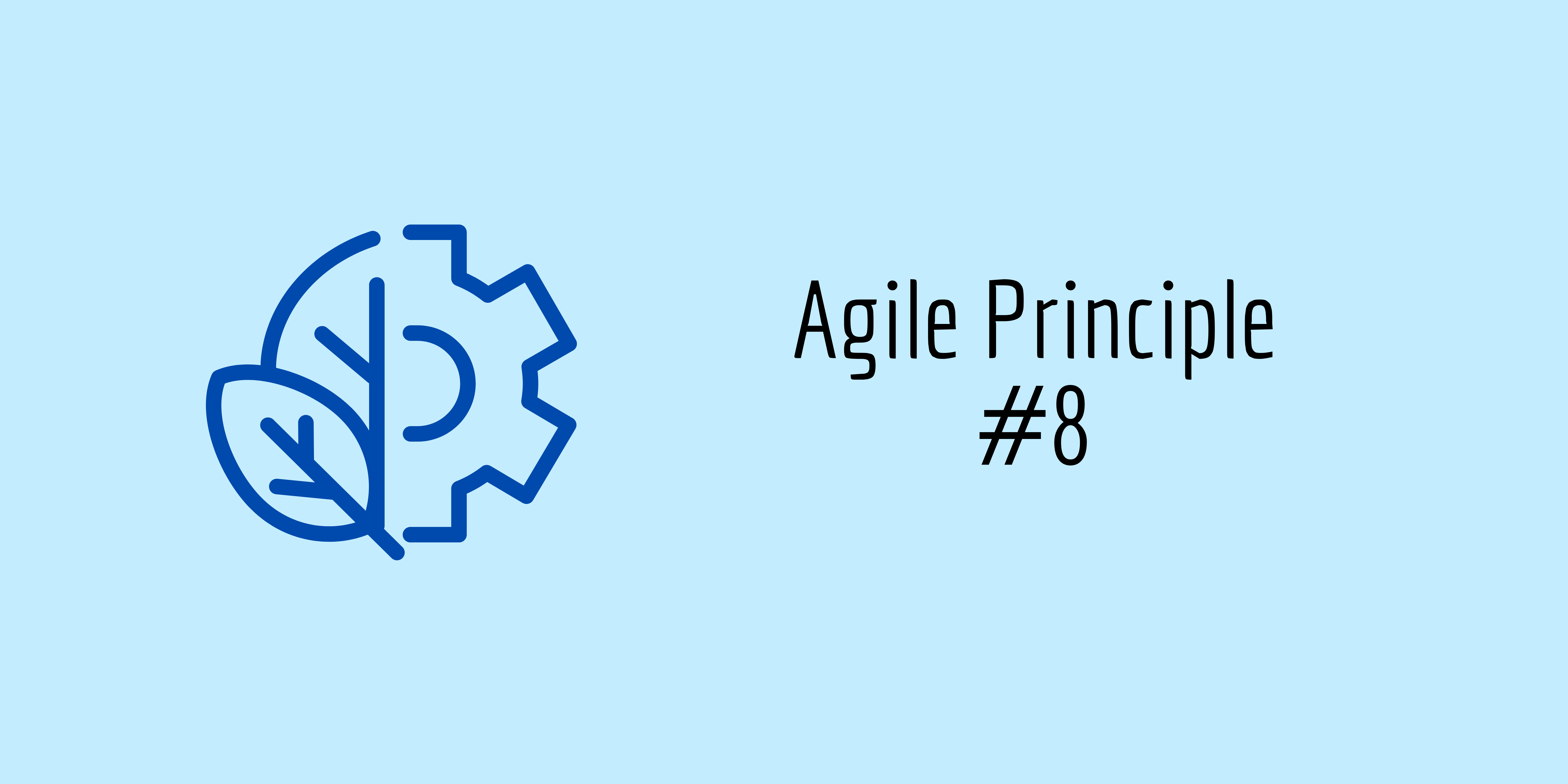 Agile Principle 8 Sustainable Development All Things